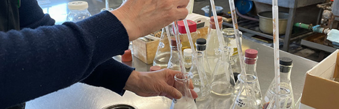 Amana Corporation. Official site